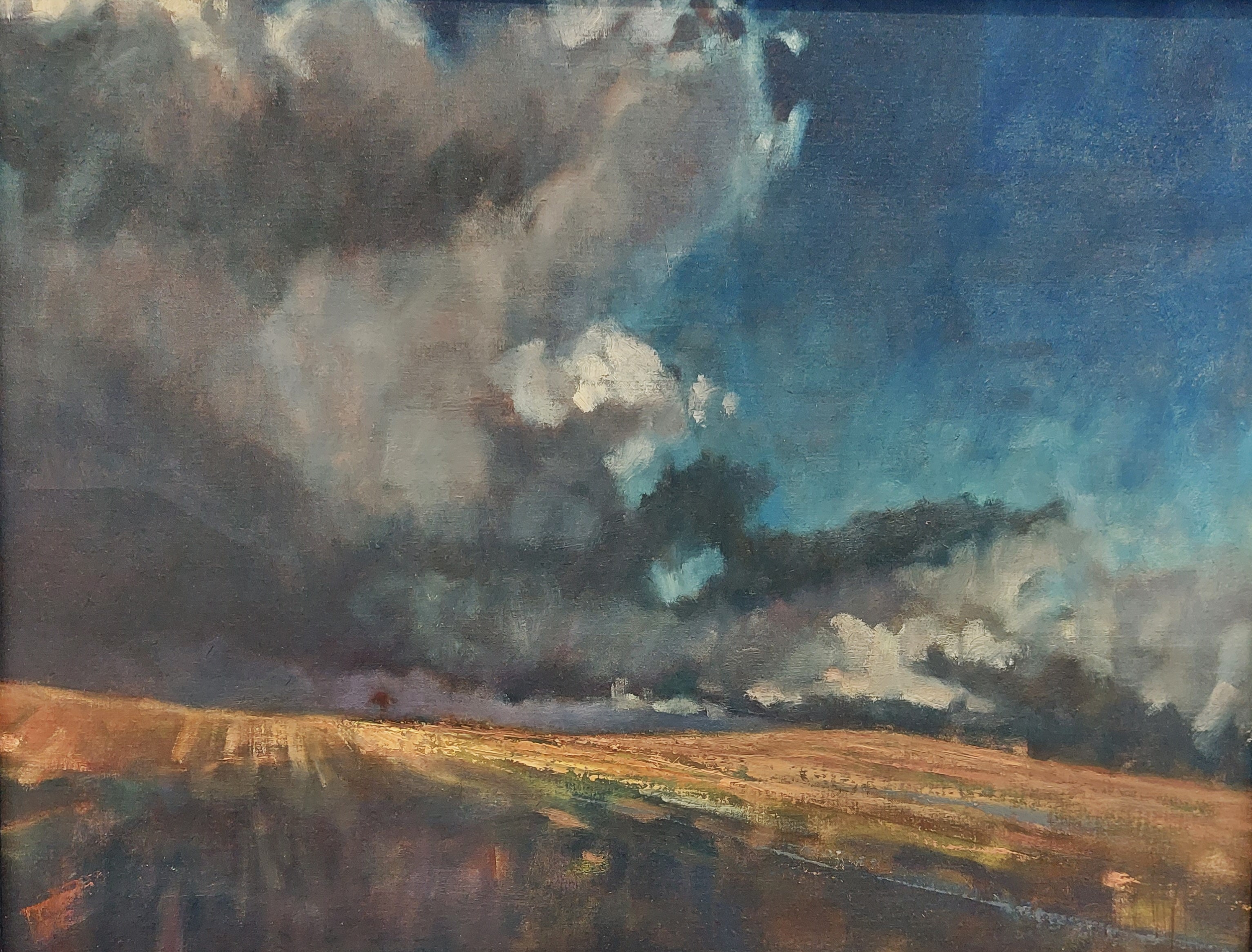 Sam Robbins - The Gallery Norfolk